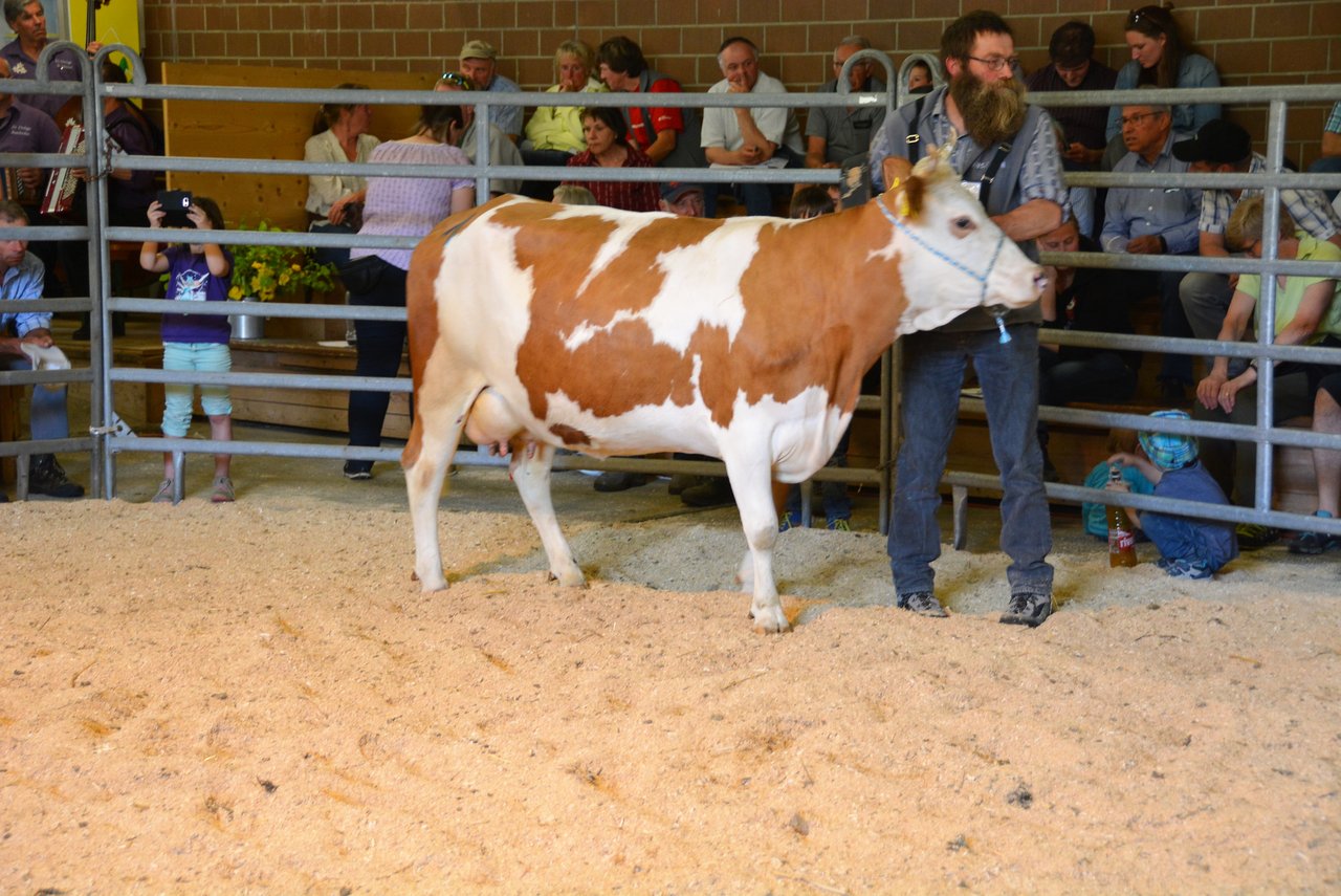 Klein, aber oho: Hinterwälder präsentieren sich - bauernzeitung.ch ...