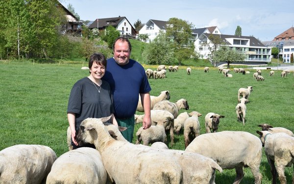 Ruedi Brunner ist vom Vieh- zum begeisterten Schafzüchter geworden ...