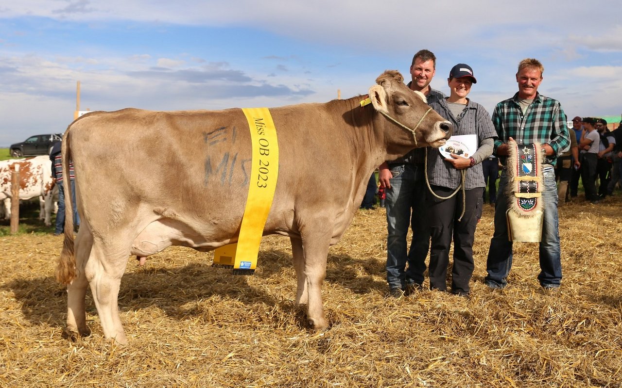 Mit 157 Tieren an die Viehprämierung - bauernzeitung.ch | BauernZeitung