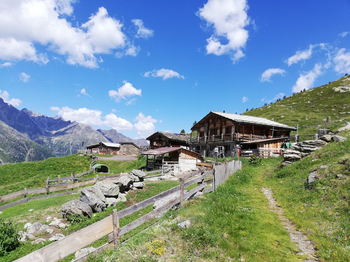 SAV: «Nicht gelungen, Situation aufzuzeigen» - bauernzeitung.ch ...