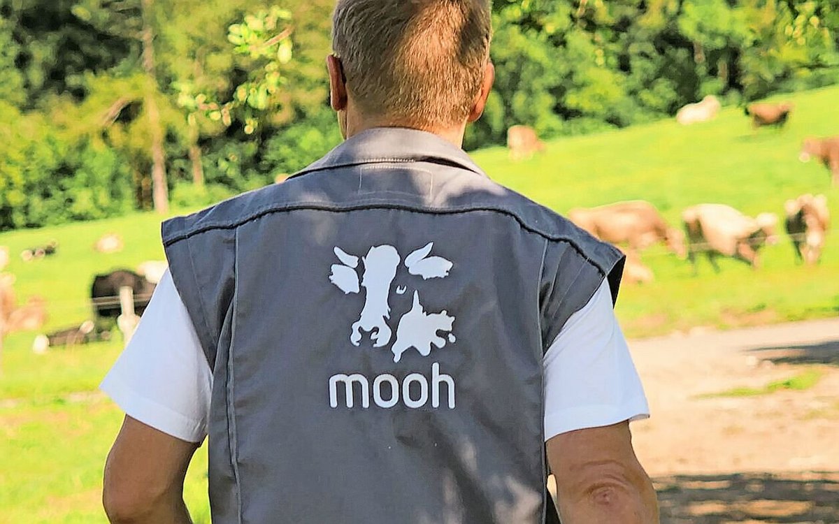 Bewährungsprobe im Preiskampf – Mooh trotzt dem Milchmarkt ...