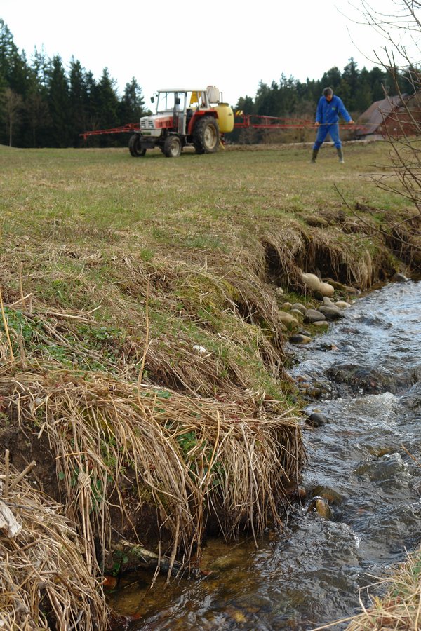 Fischer fordern saubere Bäche - bauernzeitung.ch | BauernZeitung