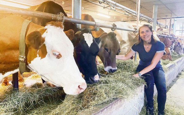 Anbinden oder laufen lassen? – diese Frage stellte sich Maturandin ...