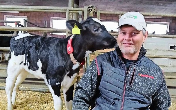 «Je jünger die Kälber, desto einfacher» – Jürg Dummermuth impft schon ...