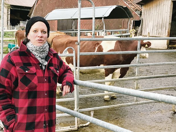 Müttergebundene Kälberaufzucht: Die Milchkuh mit dem Kalb ...
