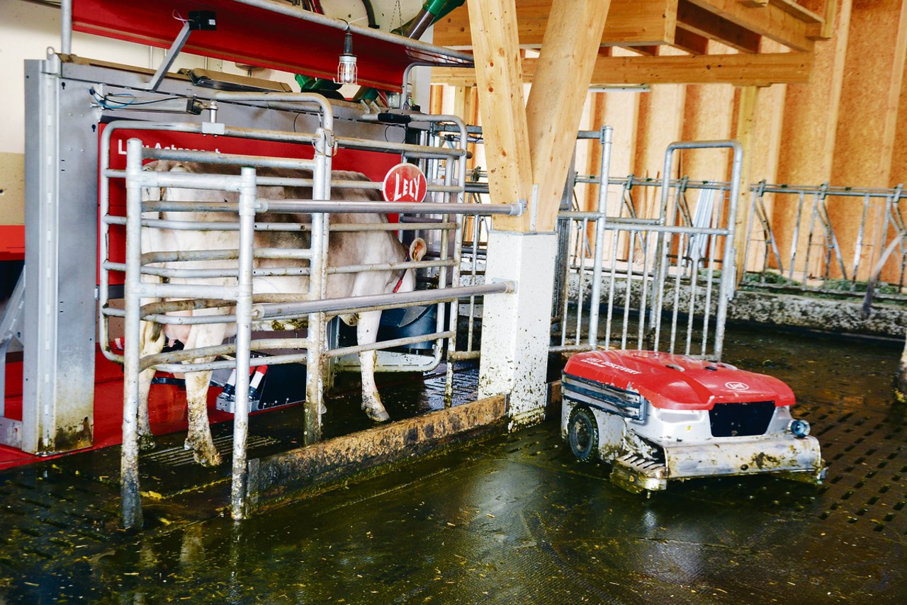 Porträt: Bei Loosers arbeiten diverse Roboter im Stall - bauernzeitung ...