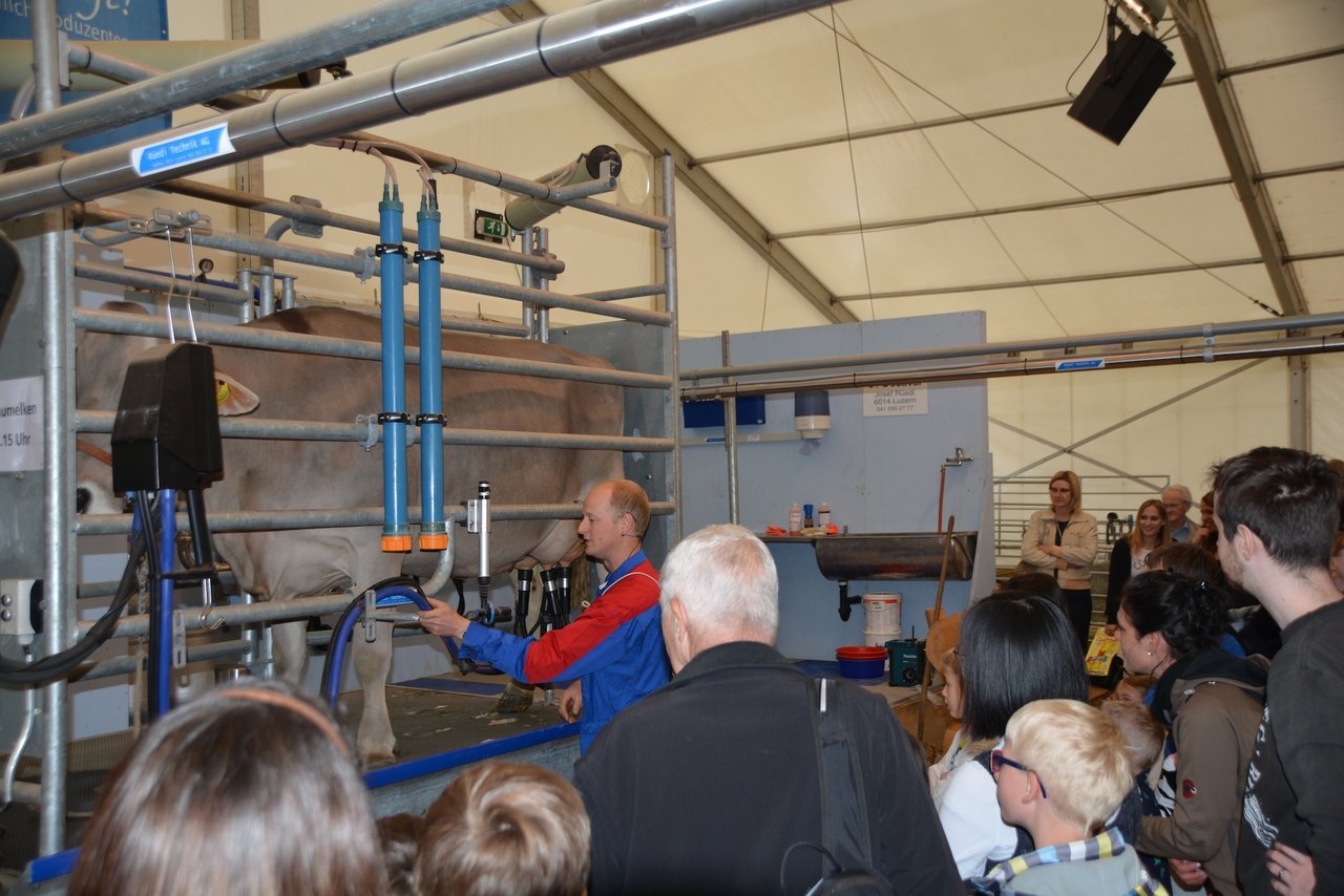 Luga: Aus Liebe zum Essen - bauernzeitung.ch | BauernZeitung