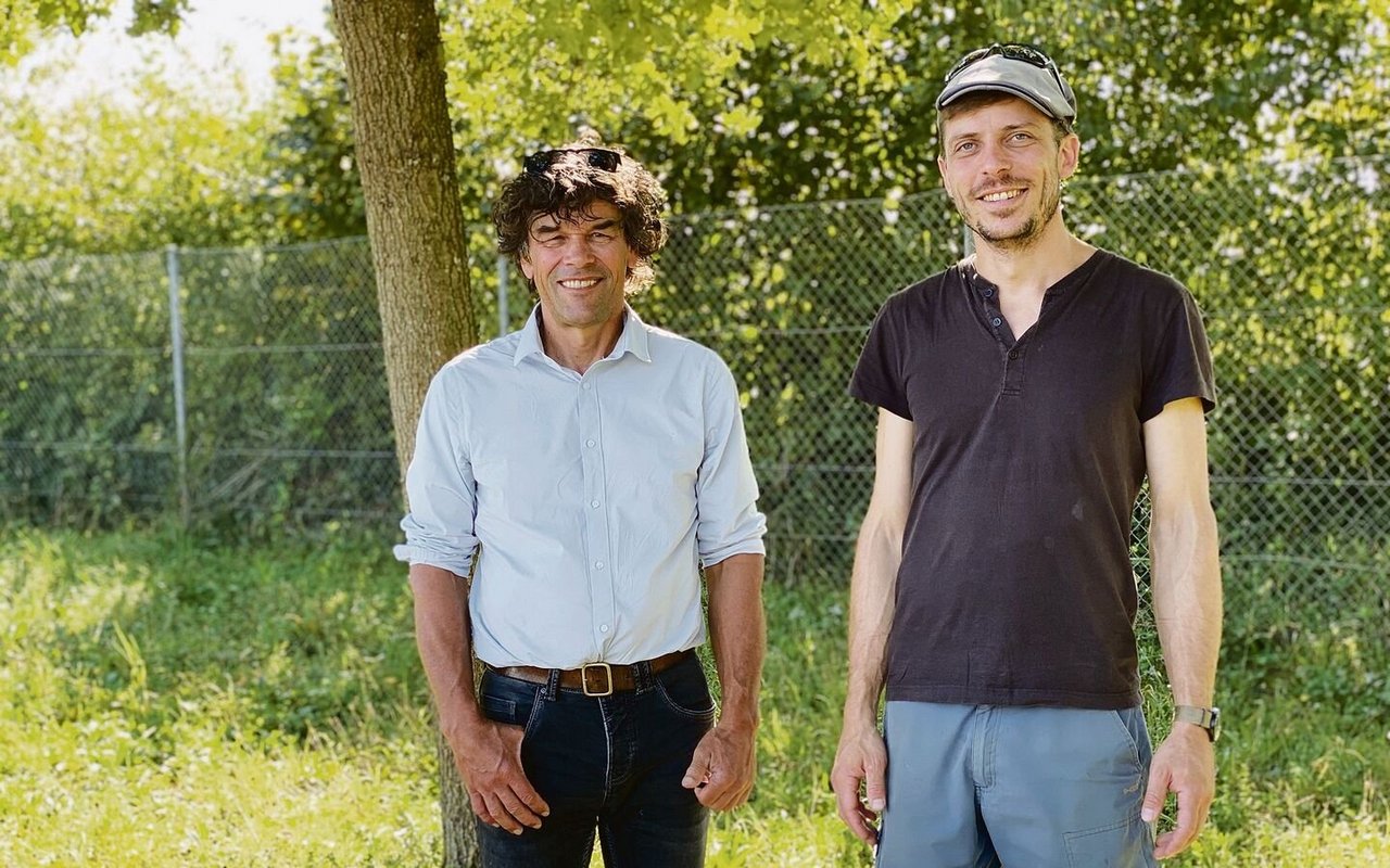 Richtig Laub blasen für die Biodiversität - bauernzeitung.ch ...
