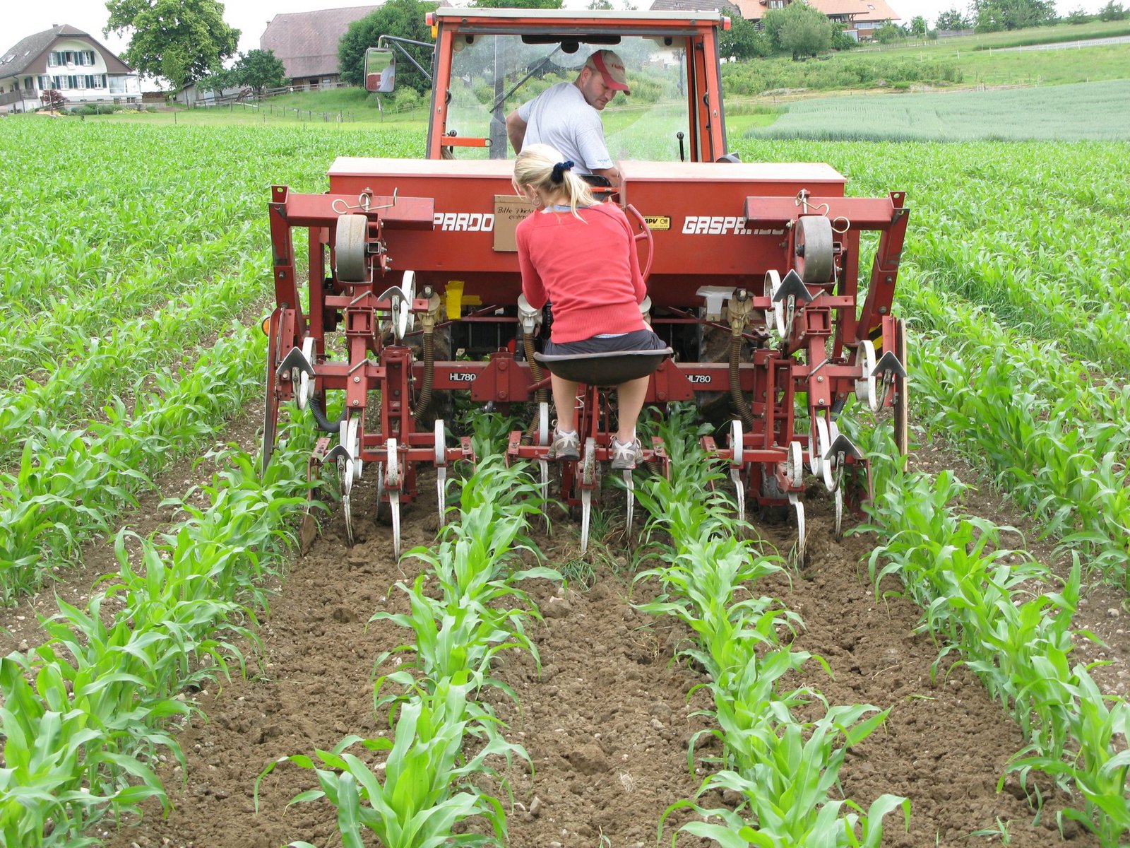 Unkraut im Mais: Welches Gerät zu welchem Zeitpunkt einsetzen? - bauernzeitung.ch | BauernZeitung