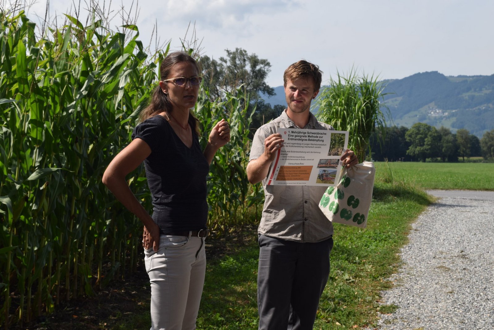 Kein Durchbruch, aber Lichtblicke bei der Erdmandelgras-Bekämpfung - bauernzeitung.ch ...