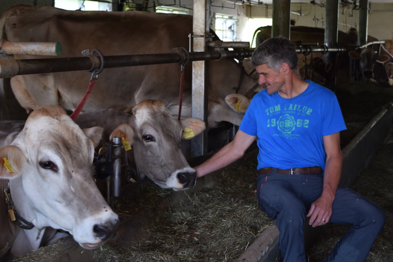 Bauernverband Appenzell: Der neue Präsident ist ein Netzwerker ...