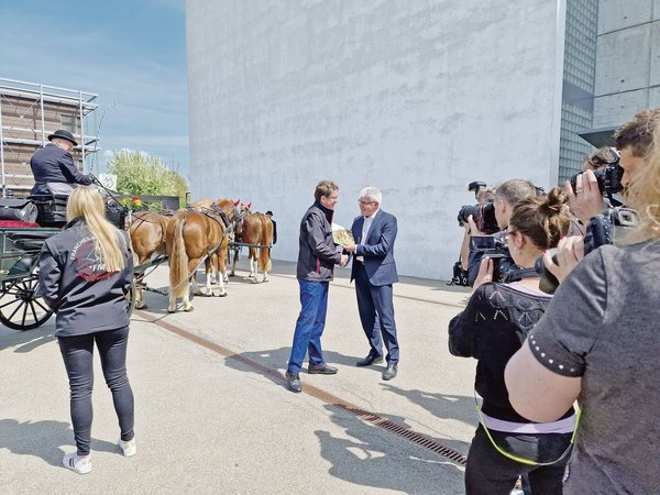Wird Albert Rösti Bundesrat, brauchen die Freibergerzüchter einen neuen ...