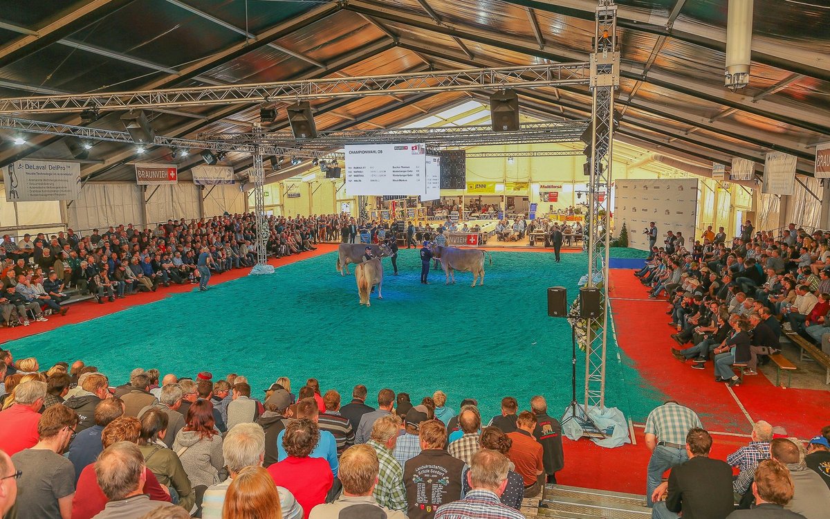 Vorfreude herrscht: Die nächsten zwei Wochenenden stehen ganz im ...