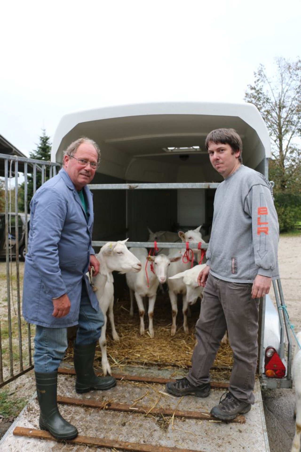 Keine Ziegen mehr für die EU - bauernzeitung.ch | BauernZeitung