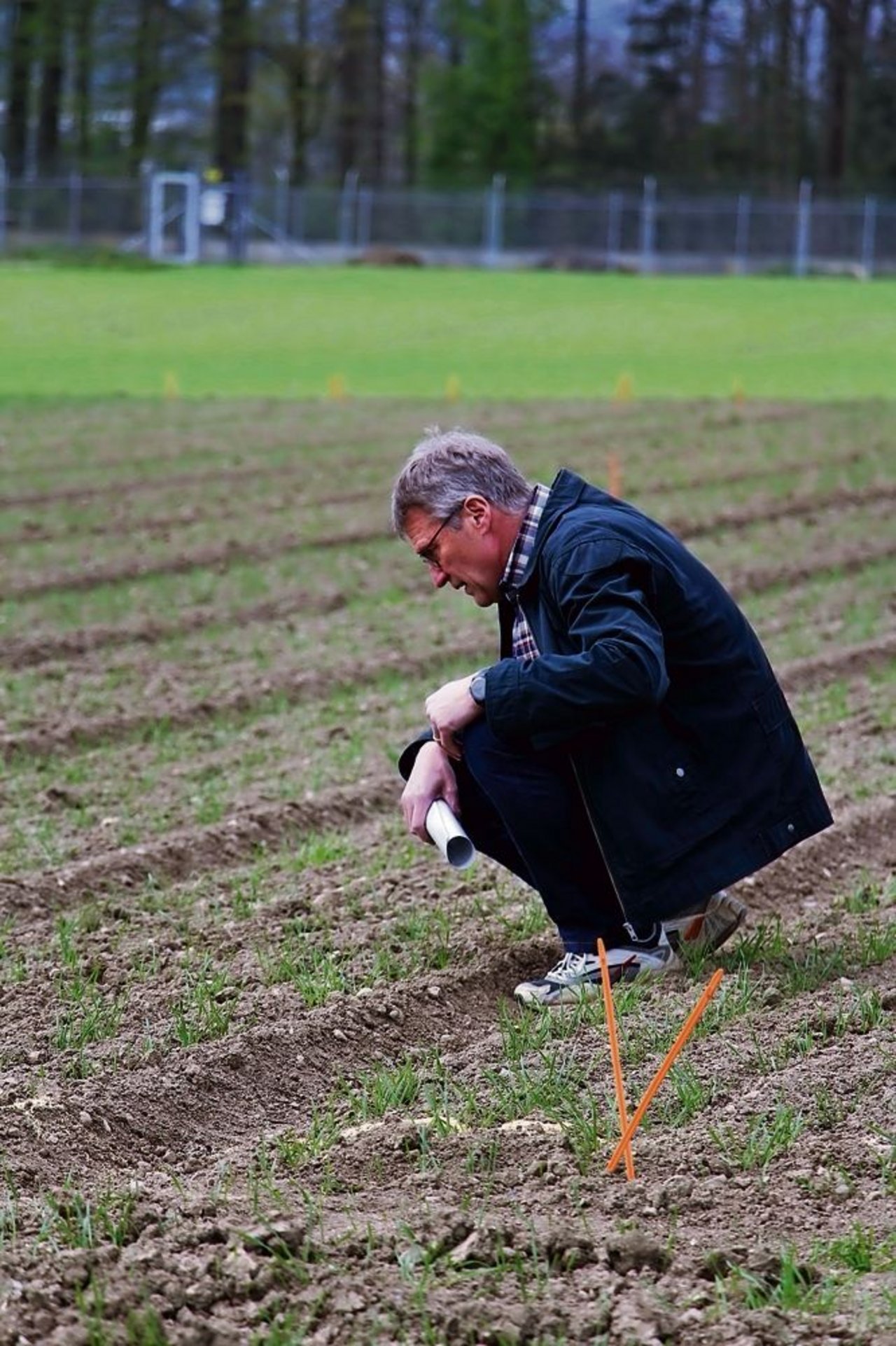 Ein Besuch auf dem Gentechfeld - bauernzeitung.ch | BauernZeitung