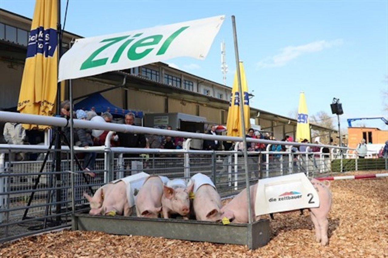Aargauer Bauern lassen sich auf die Finger schauen - bauernzeitung.ch | BauernZeitung