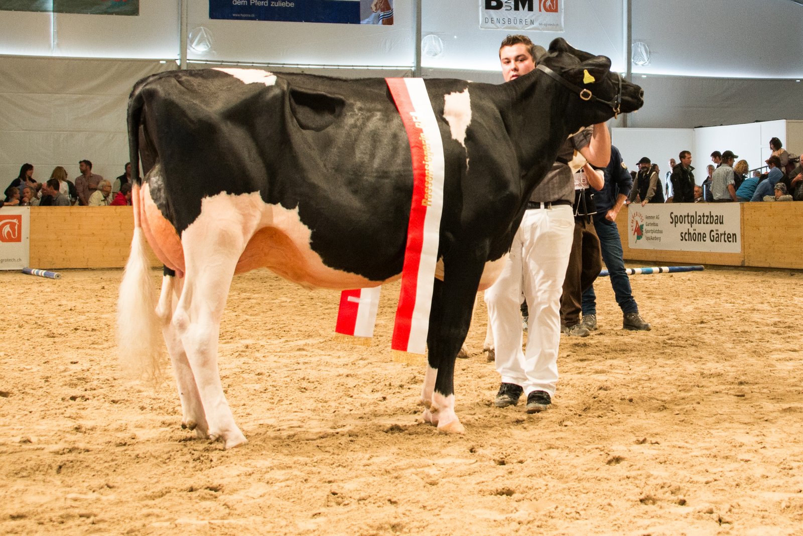 Roman Livia: Miss BEA 2017 und Siegerin der 31. Eliteschau ...