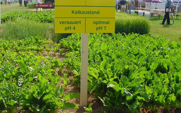 Der Kalkgehalt bestimmt im Ackerbau die Bodenfruchtbarkeit - bauernzeitung.ch | BauernZeitung
