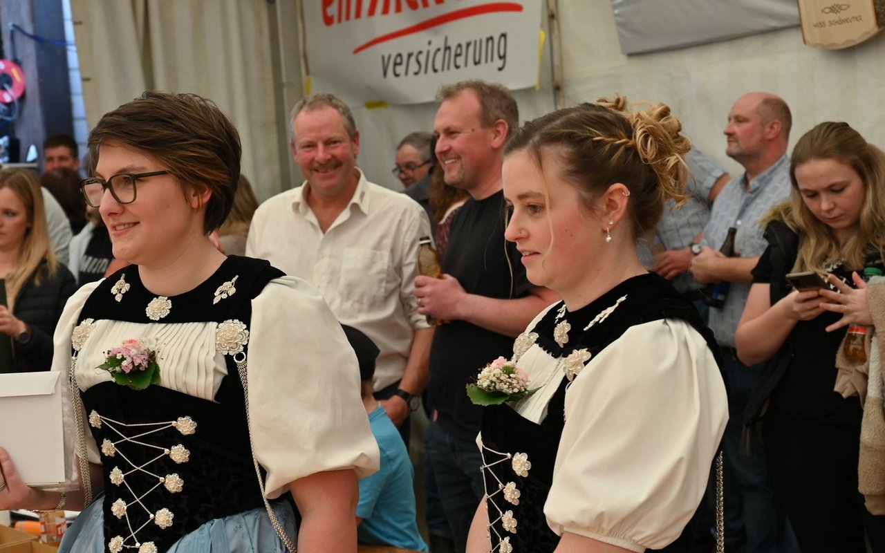 Die Miss Mittelland 2024 ist eine Swiss Fleckvieh-Kuh und trägt Hörner ...