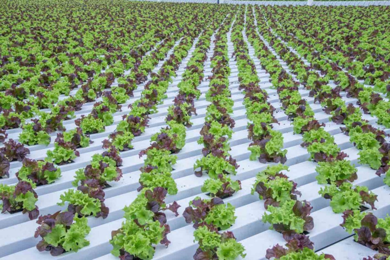 Agroscope stärkt Wissensaustausch - bauernzeitung.ch | BauernZeitung