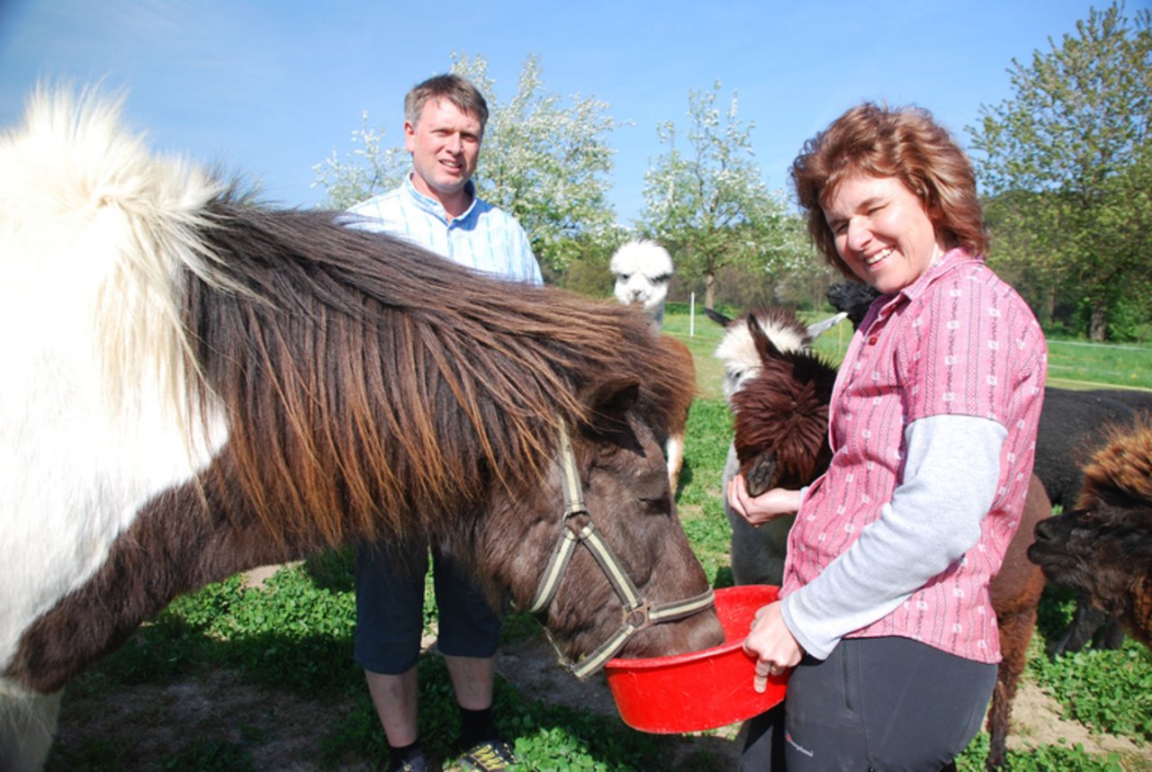 Verschiedene Standbeine sind nötig - bauernzeitung.ch | BauernZeitung