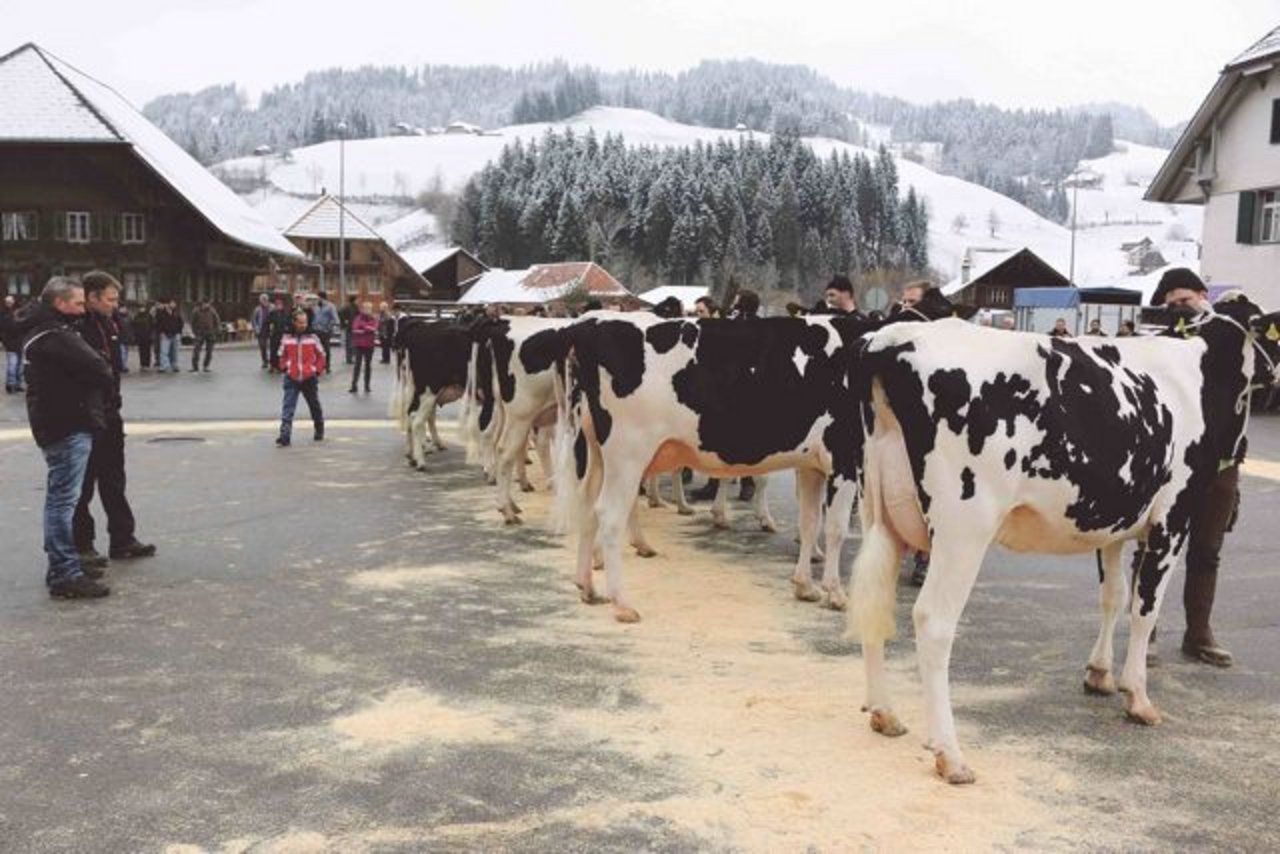 Emmentaler suchen ihre Stars - bauernzeitung.ch | BauernZeitung