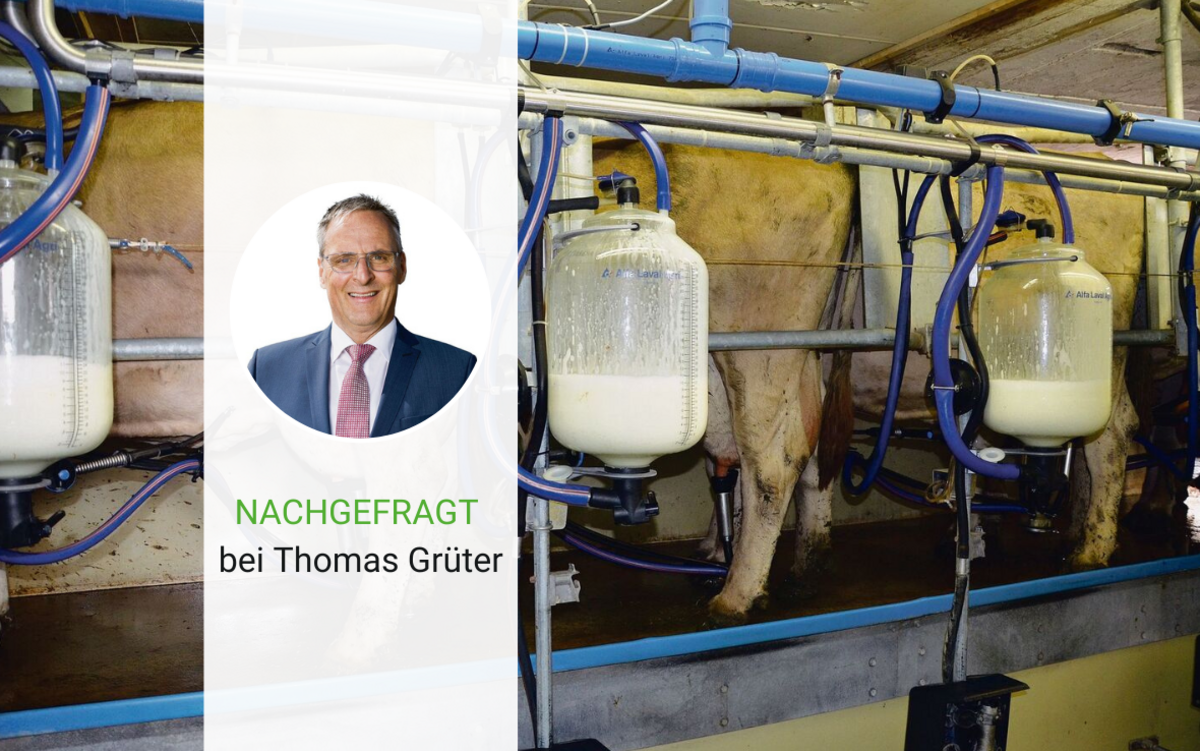 Thomas Grüter über den Milchmarkt: «Es herrscht eine gewisse Zuversicht ...