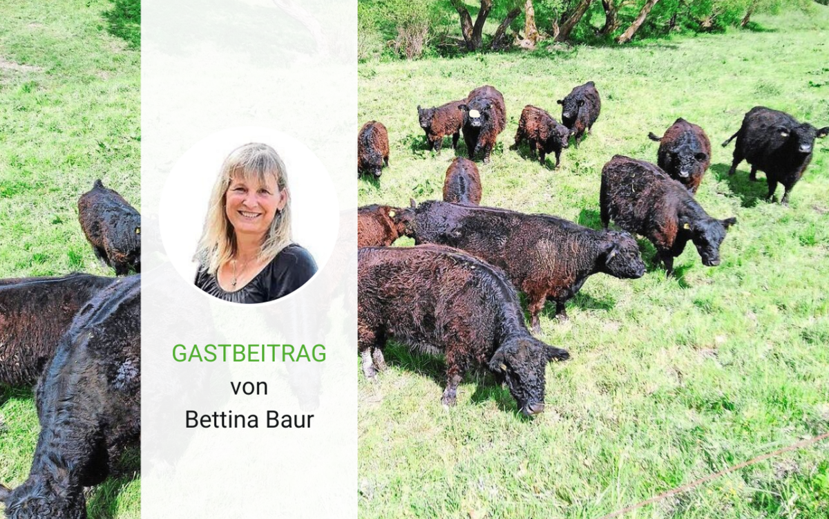 Was es alles braucht, um Weidewirtschaft zu betreiben - bauernzeitung ...