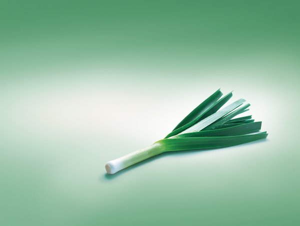 Der Lauch bringt Frische in den Winter - bauernzeitung.ch | BauernZeitung