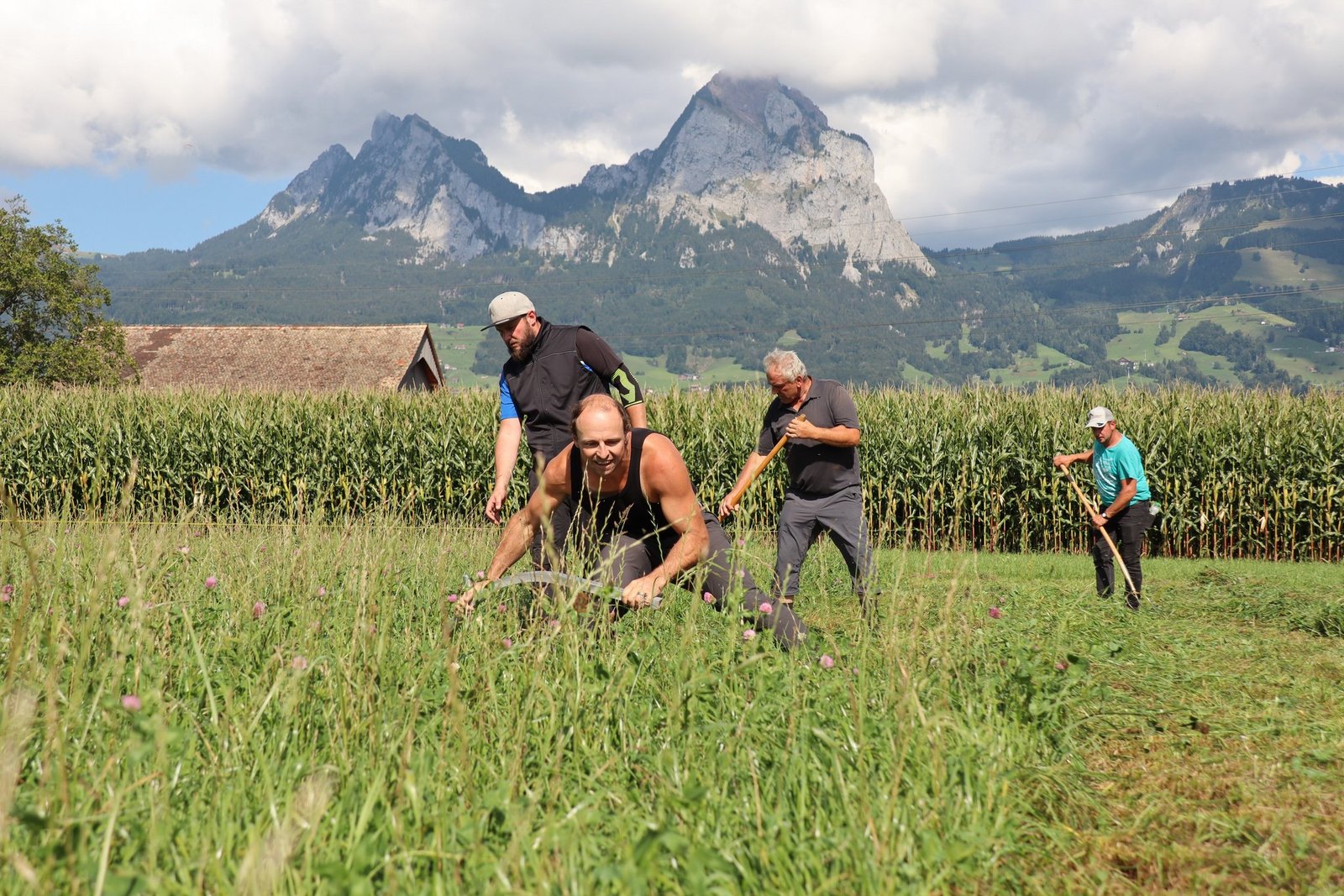 Wer mäht am schnellsten und am schönsten? - bauernzeitung.ch | BauernZeitung