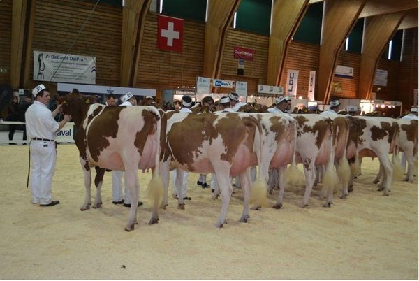 François Morand richtet die Expo Bulle - bauernzeitung.ch | BauernZeitung