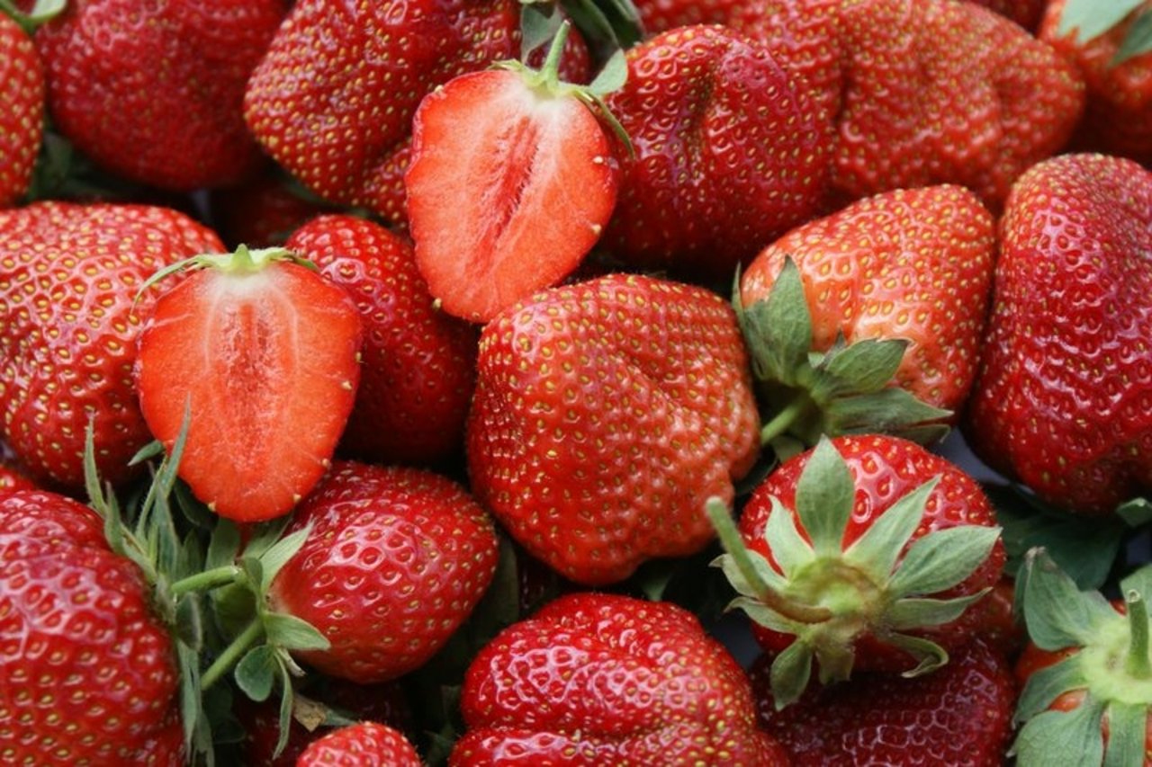 Erneute Rekordernte bei Erdbeeren - bauernzeitung.ch | BauernZeitung
