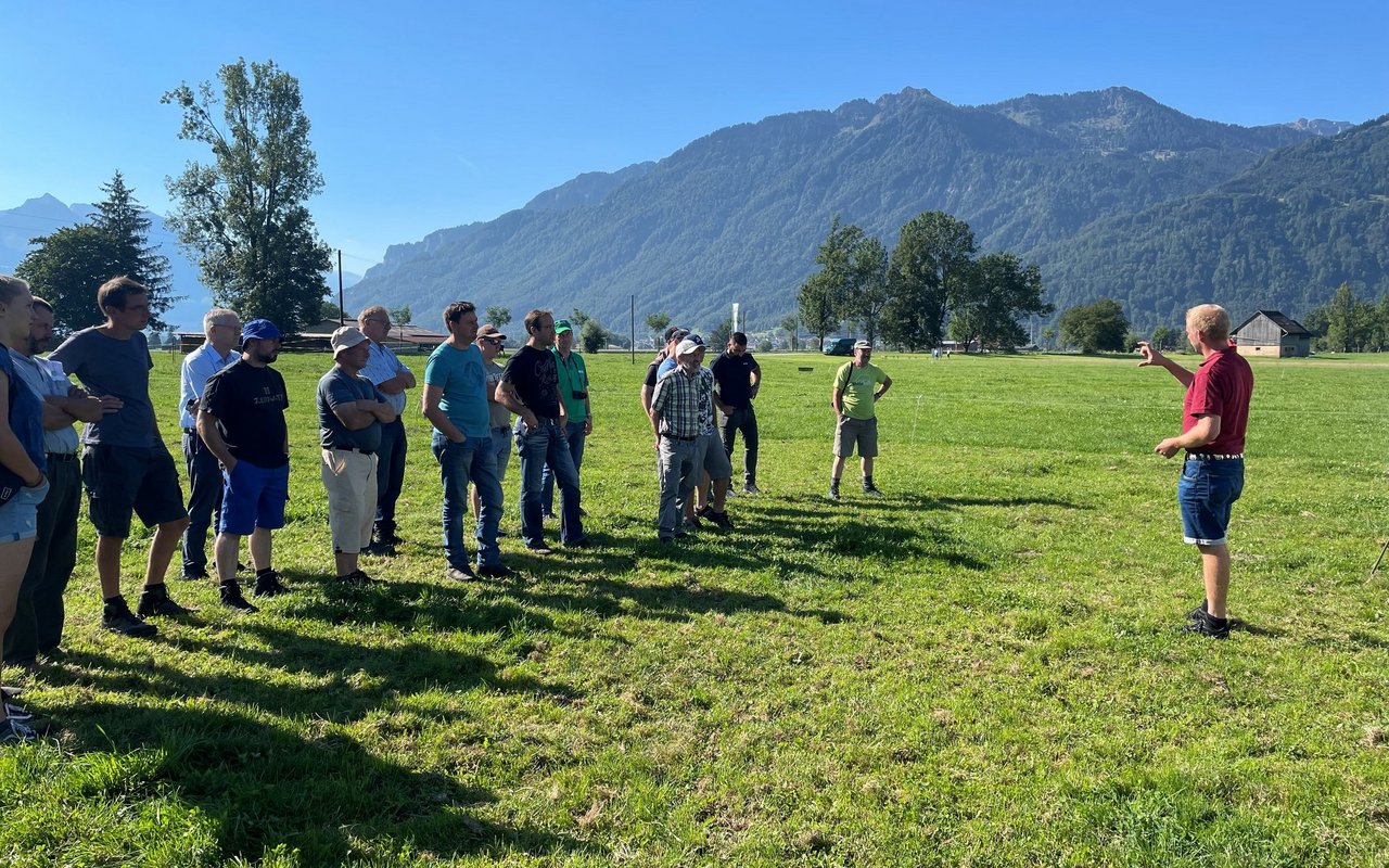 Während an einem Standort von einem «guten Jahr» gesprochen wird, ist ...