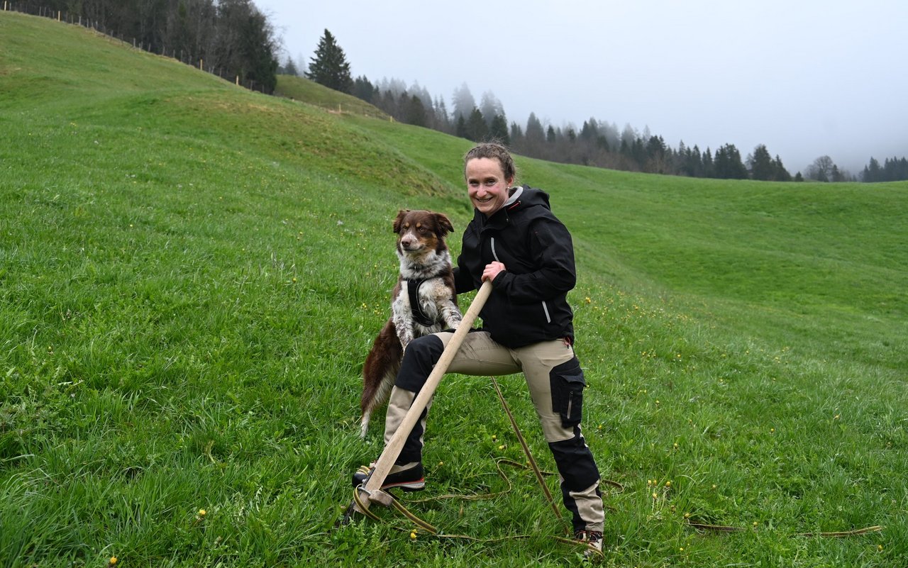 Anna Gschwind wartet sehnsüchtig auf den Alpsommer - bauernzeitung.ch ...