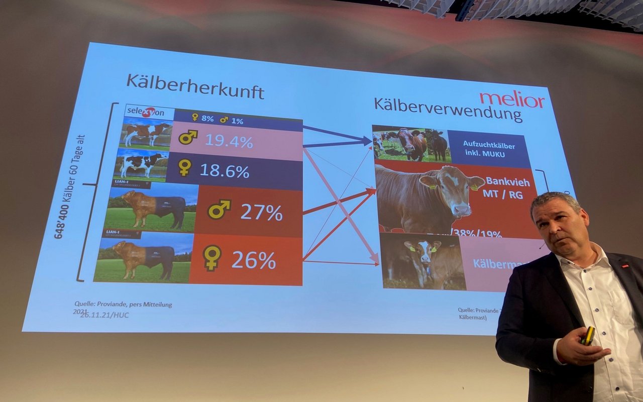 «Das Rind ist kein Klimakiller» - bauernzeitung.ch | BauernZeitung