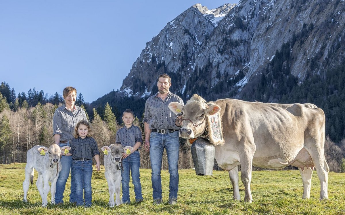 Studefuchs Calino Calina gebar acht Kälber in drei Jahren ...