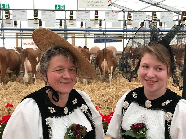 Die BEA in Bern ist eröffnet - bauernzeitung.ch | BauernZeitung