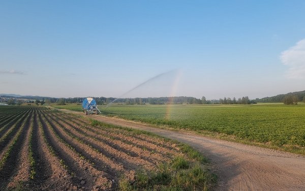 Ackerbau: Mit Klimaresilienz in die Zukunft - bauernzeitung.ch | BauernZeitung