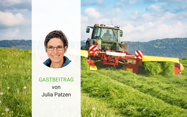 Wenn das Gras hoch ist, wird es im Backoffice hektisch - bauernzeitung.ch | BauernZeitung