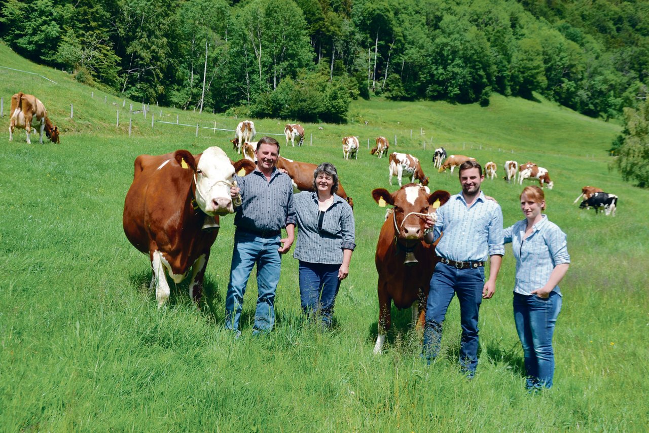 Betriebsporträt: Ein Zuchterfolg nach dem anderen bei Familie Zemp ...