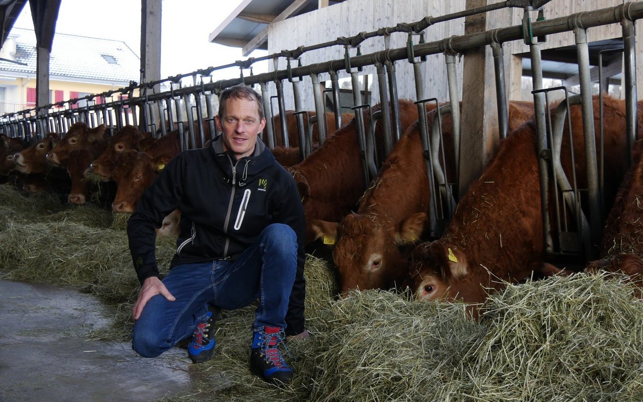 Diese 5 Projekte gewinnen den Förderpreises Agroforst Aargau - bauernzeitung.ch | BauernZeitung