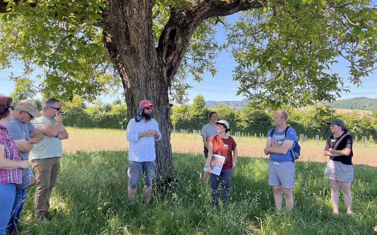 «Agroforst hat seinen Ruf als verrückte Idee abgestreift», erklärt ...