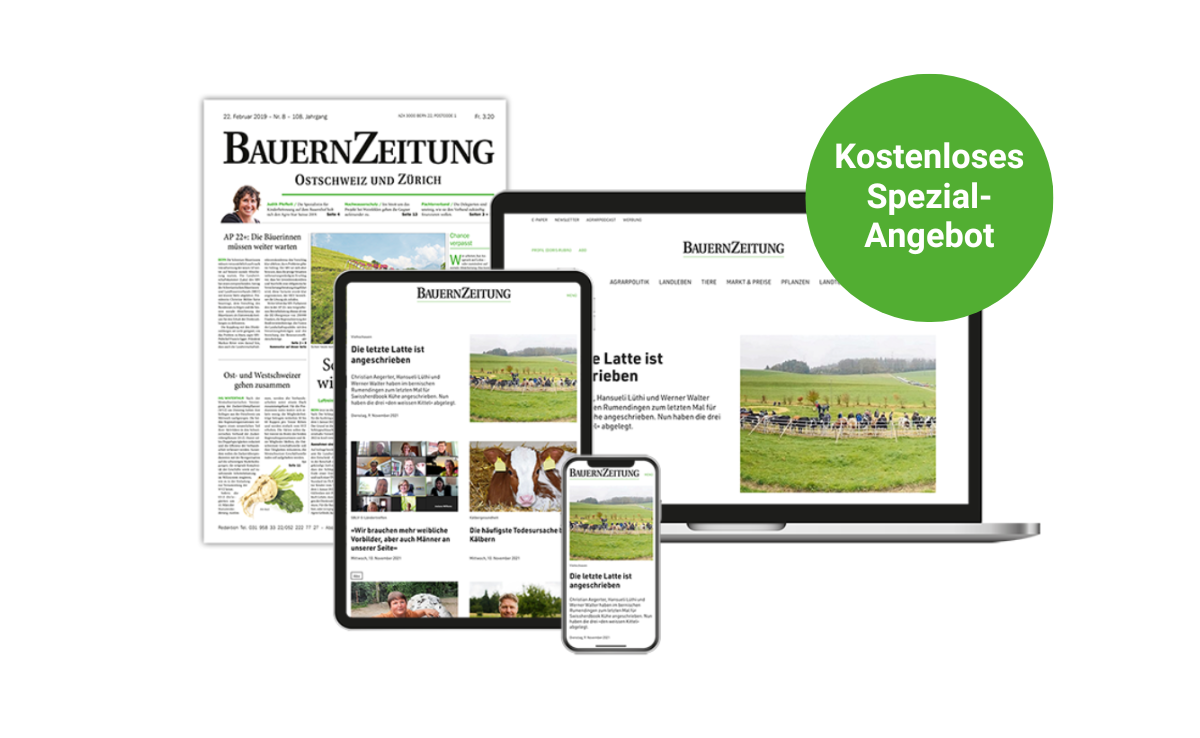BZ-AngebotNeukunden | BauernZeitung