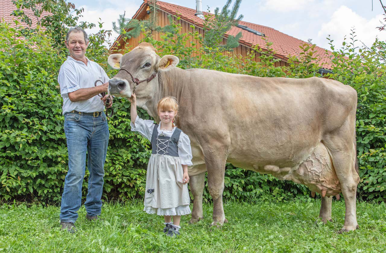 Das sind die Braunvieh-Kühe mit den besten Werten 2023 - bauernzeitung.ch | BauernZeitung
