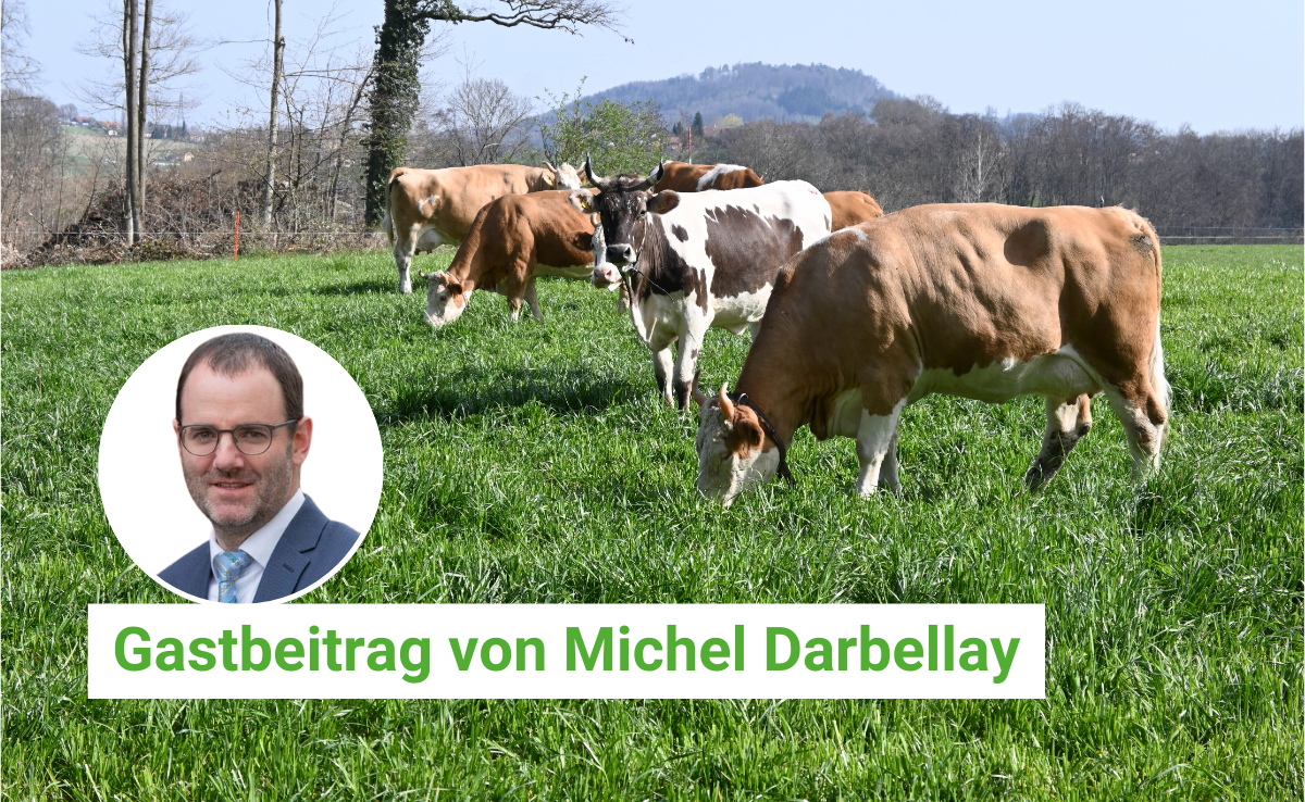 Gemeinsam gegen die Lumpy-Skin-Krankheit - bauernzeitung.ch | BauernZeitung