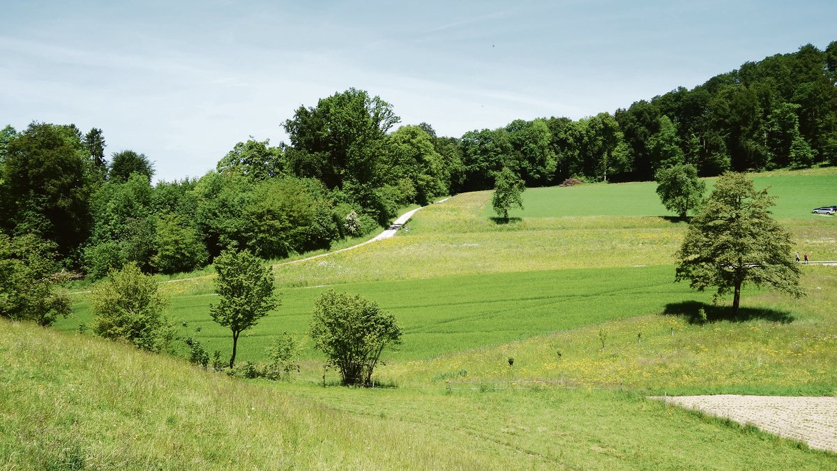 Labiola: Aargauer Bauern fördern Schmetterlinge - bauernzeitung.ch ...