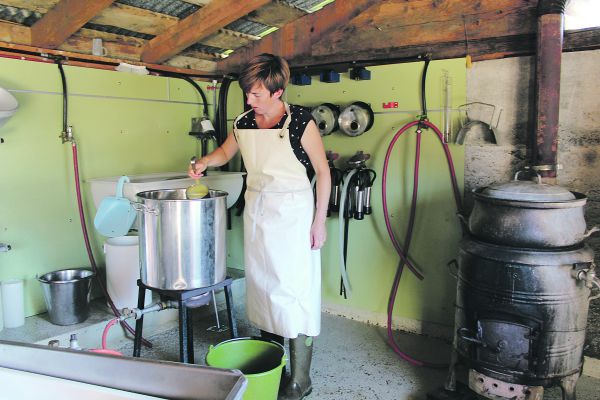 Soll ich, darf ich es wagen? - bauernzeitung.ch | BauernZeitung