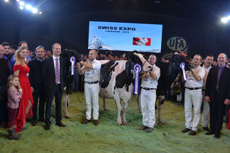 O'Kalibra gewinnt erneut! - bauernzeitung.ch | BauernZeitung