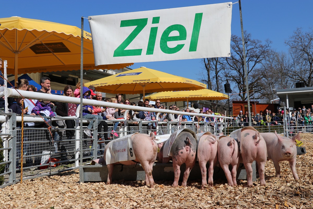 Aargauer Messe AMA 2018 - bauernzeitung.ch | BauernZeitung
