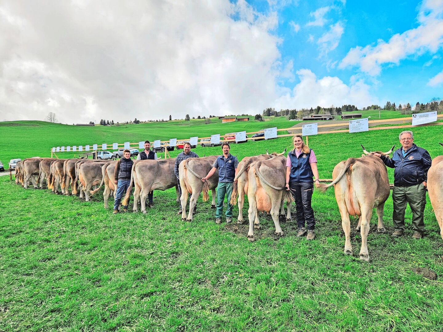 Zuchterfolg mit Vincenzo - bauernzeitung.ch | BauernZeitung